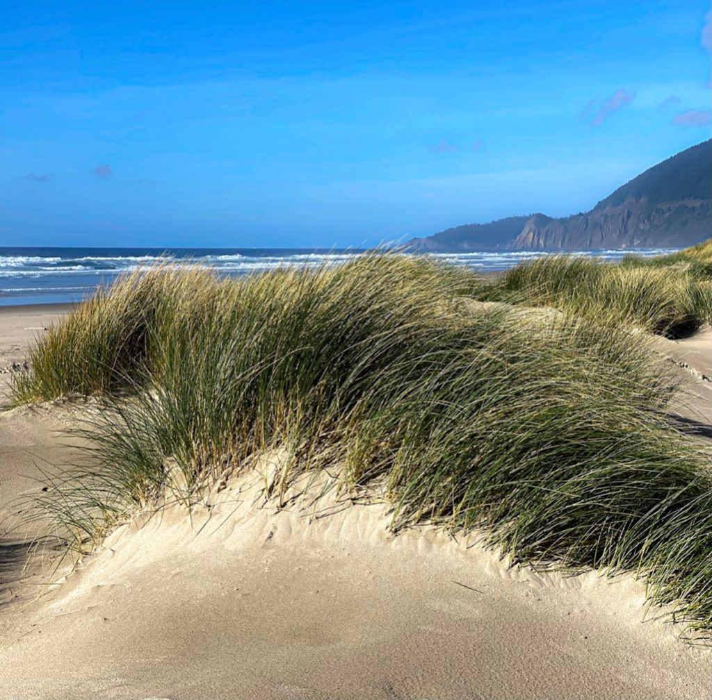 Walking the Beach in Nehalem Bay State Park - Adventures on The Oregon ...