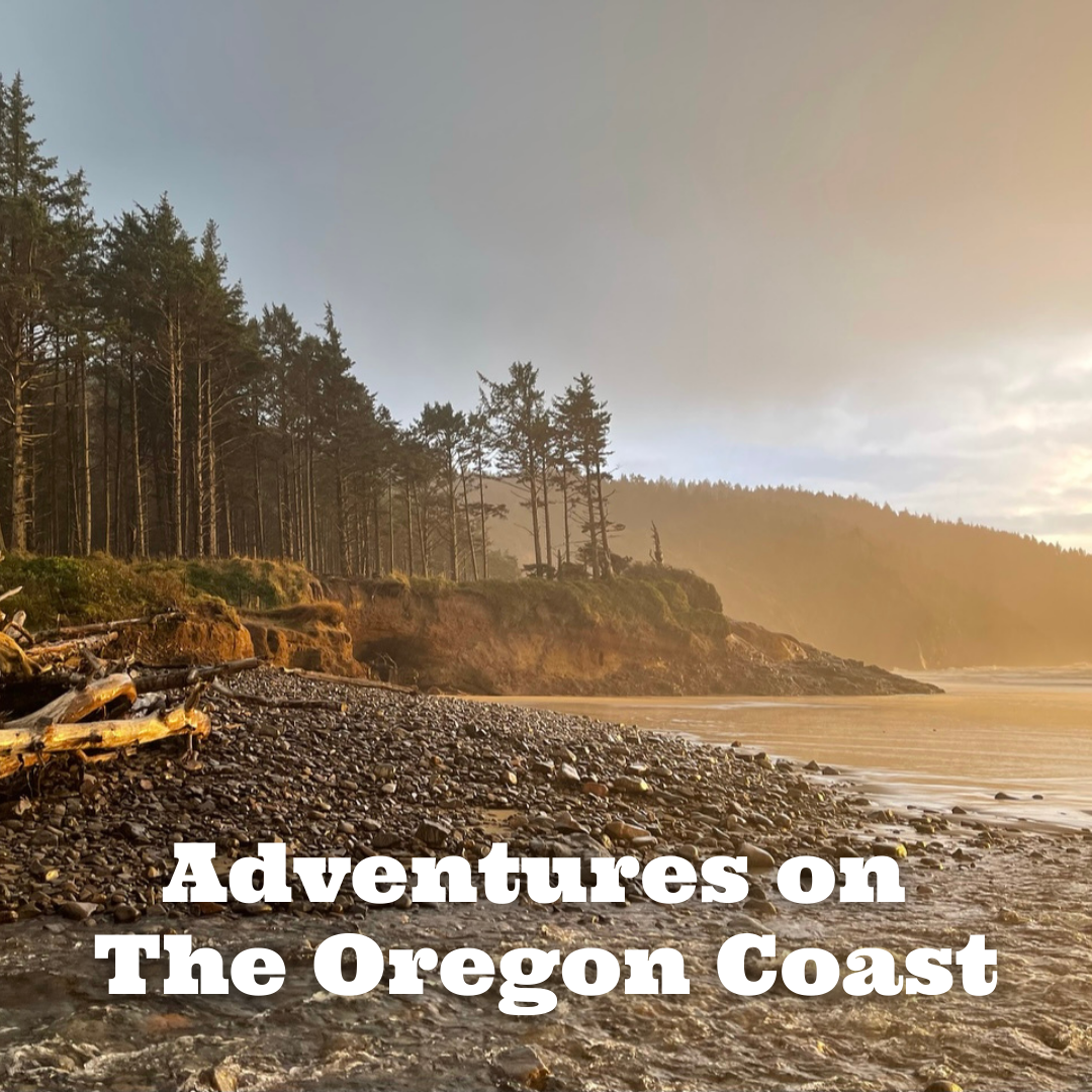 Walking the Beach in Nehalem Bay State Park - Adventures on The Oregon ...